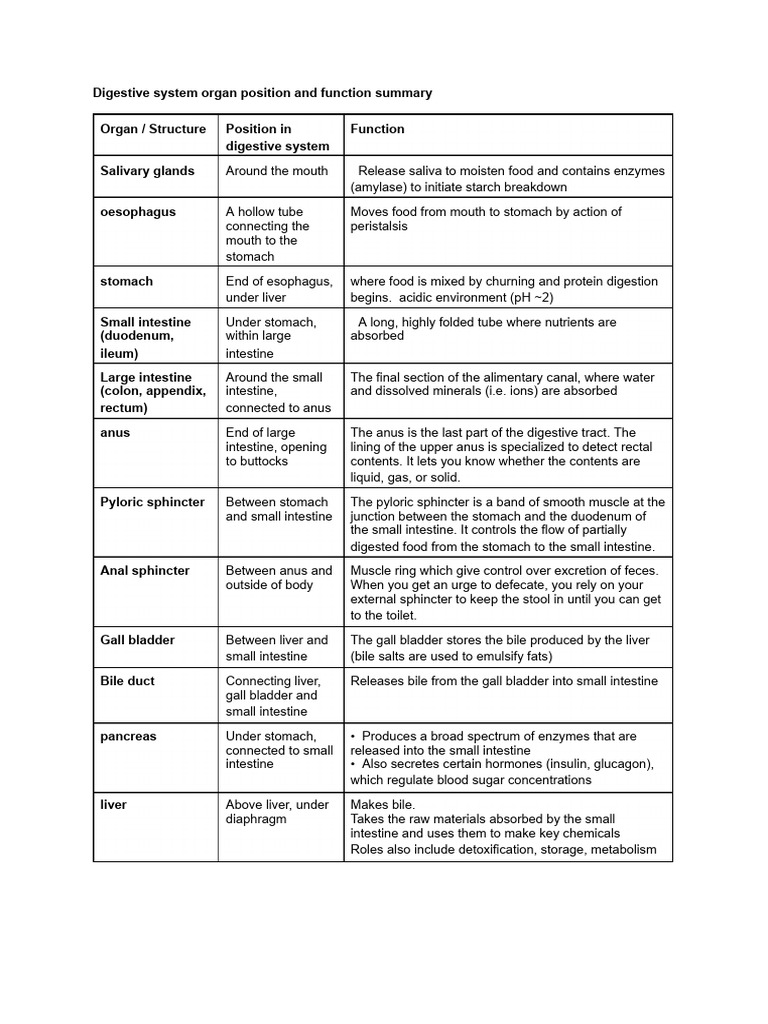 Digestive System Organ Position and Function Summary | PDF | Human ...