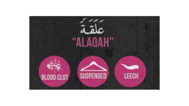 Alaqah | PDF