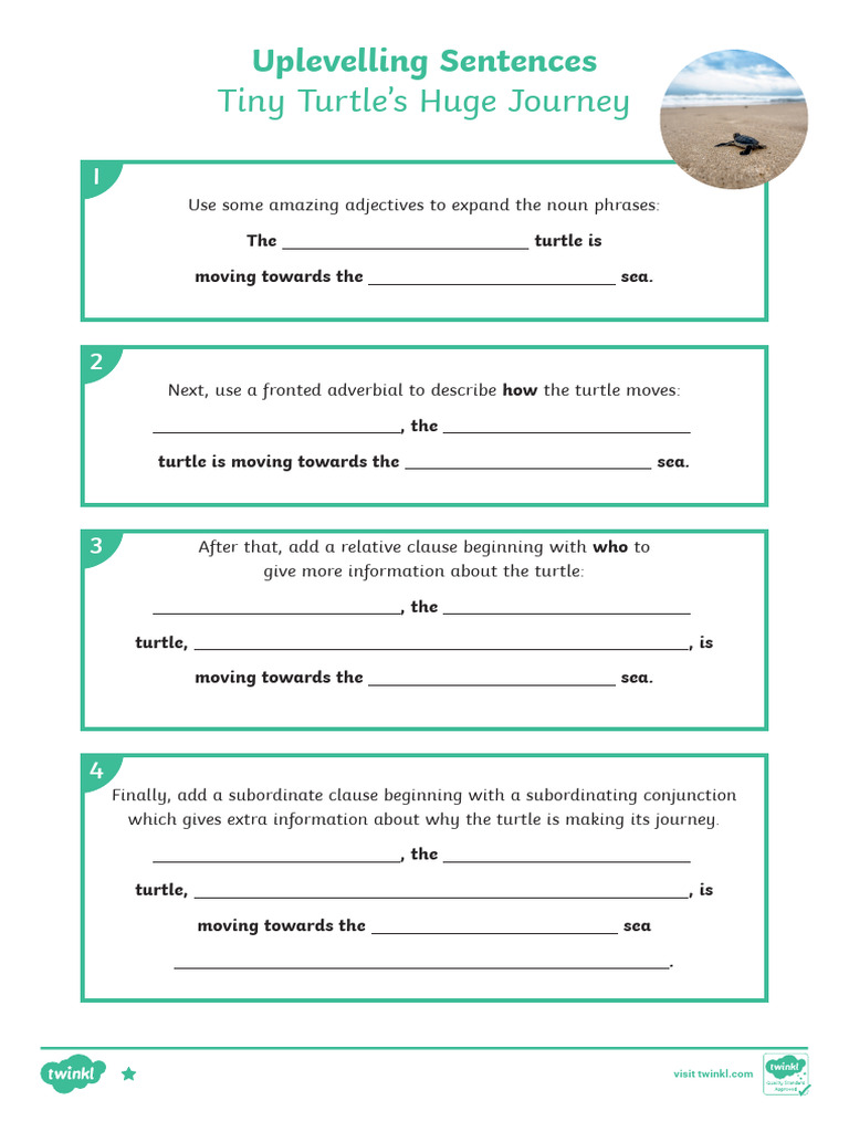 Uplevelling Sentences: Turtle Journey | PDF | Adjective | Sentence ...