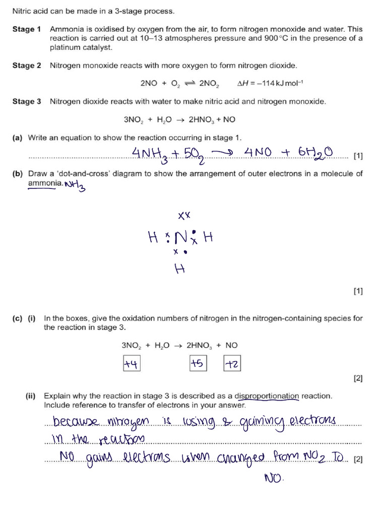 Quiz 13 Camb | PDF
