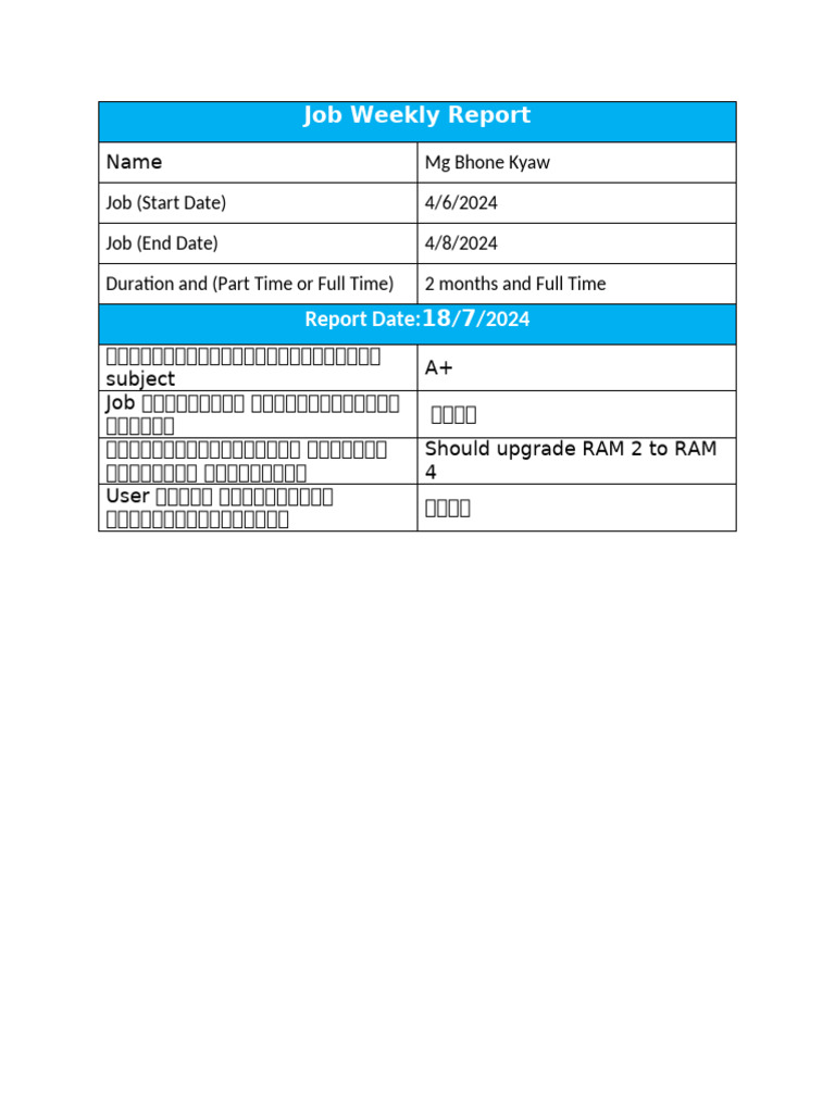 Job Weekly Report | PDF