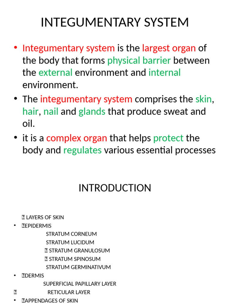 Intrgumentery System | PDF | Skin | Integumentary System