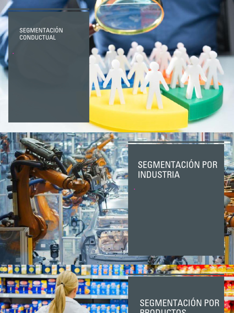 Tipos de Segmentacion | PDF