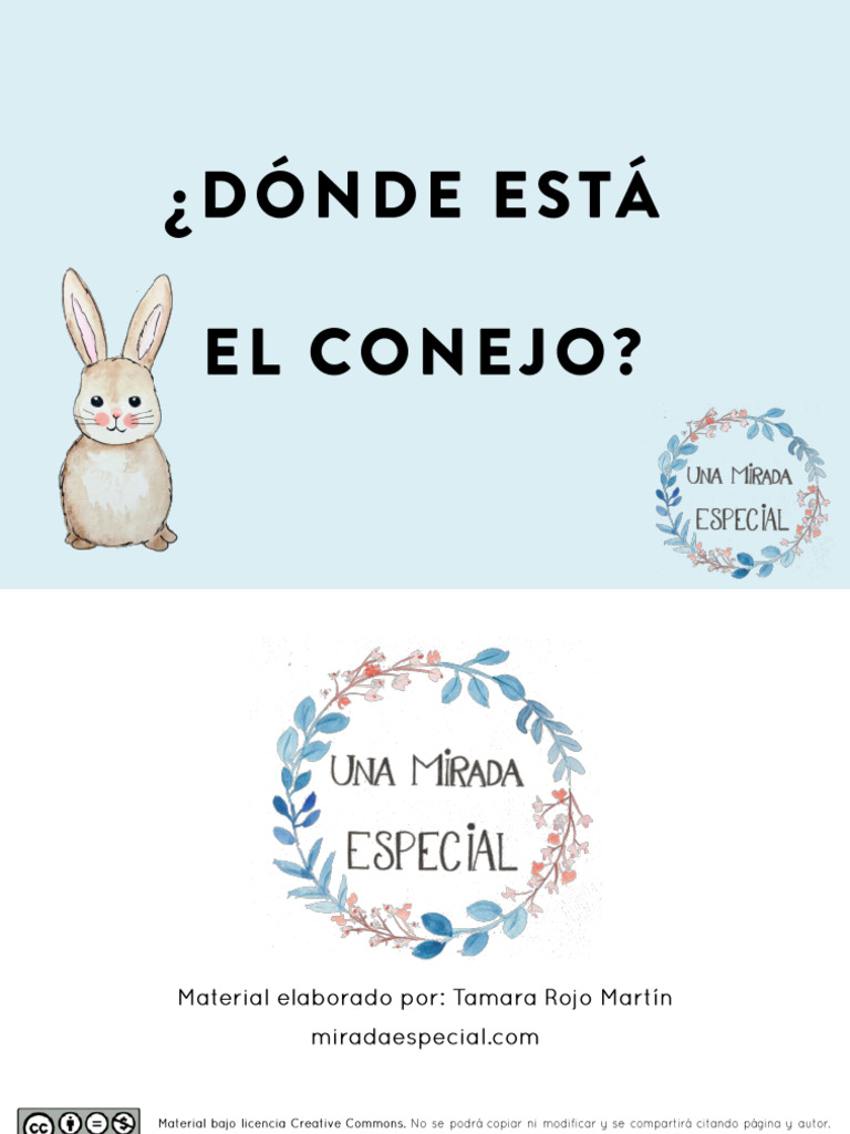 Donde Esta El Conejo VFHLBD | PDF