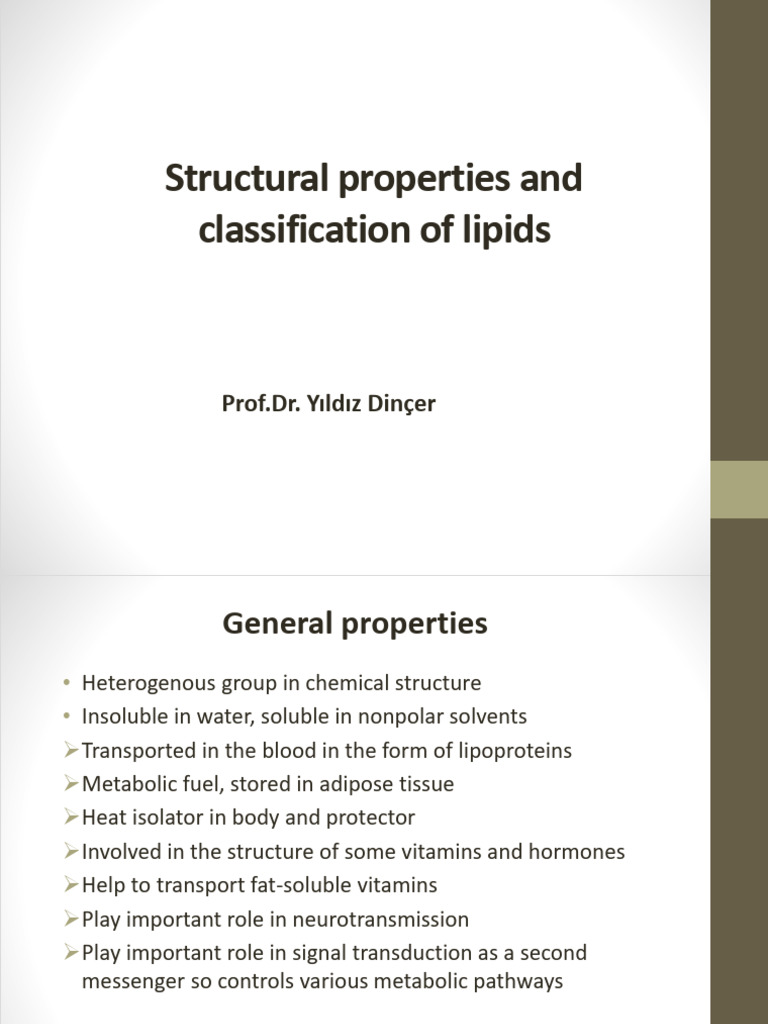 Structural Properties and Classification of Lipids 2024 | PDF | Lipid ...