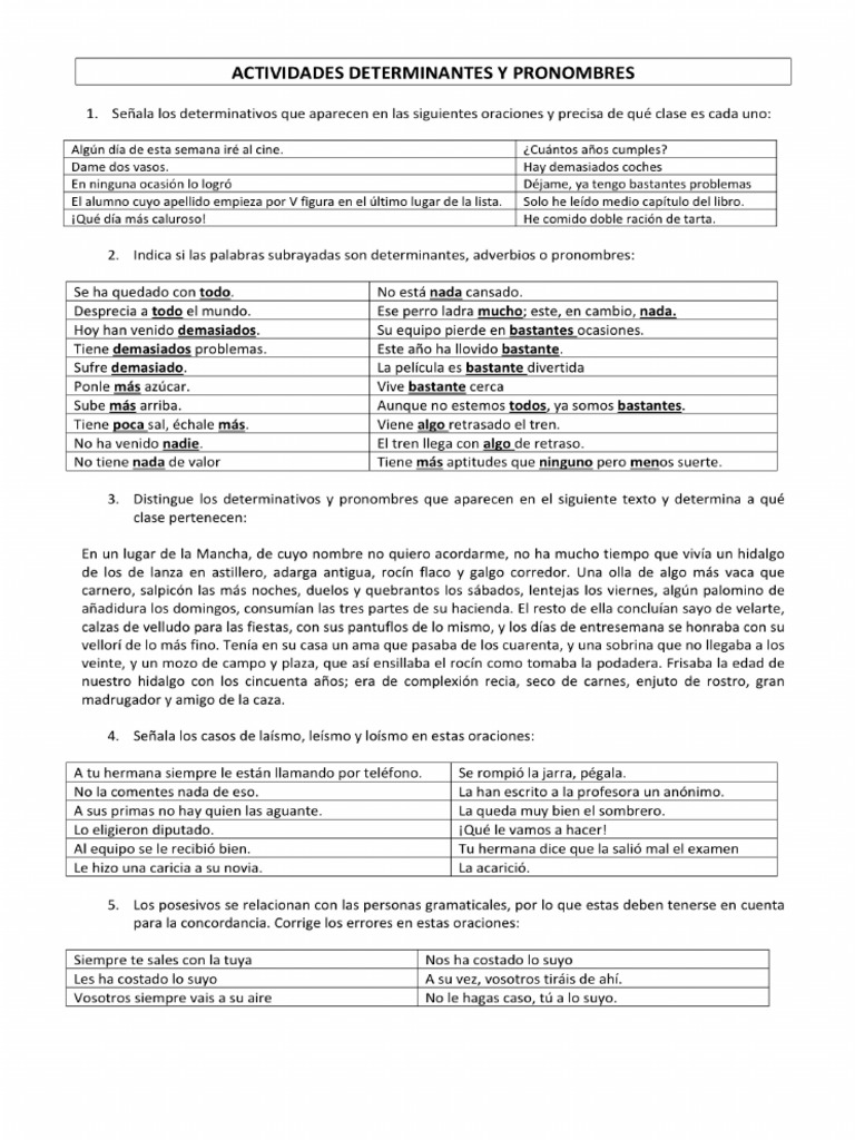 Determinantes y Pronombres Actividades PDF | PDF