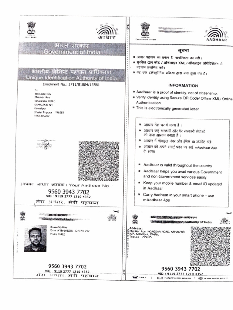Aadhaar Biswa dip | PDF