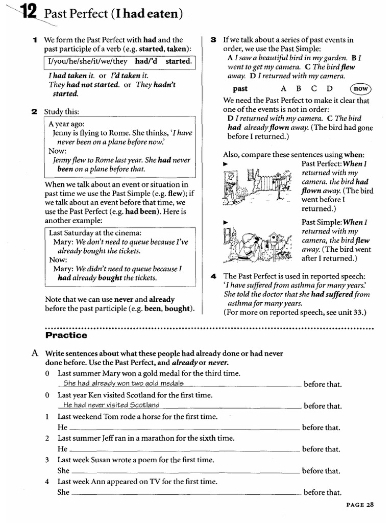 Fisa PAST PERFECT | PDF