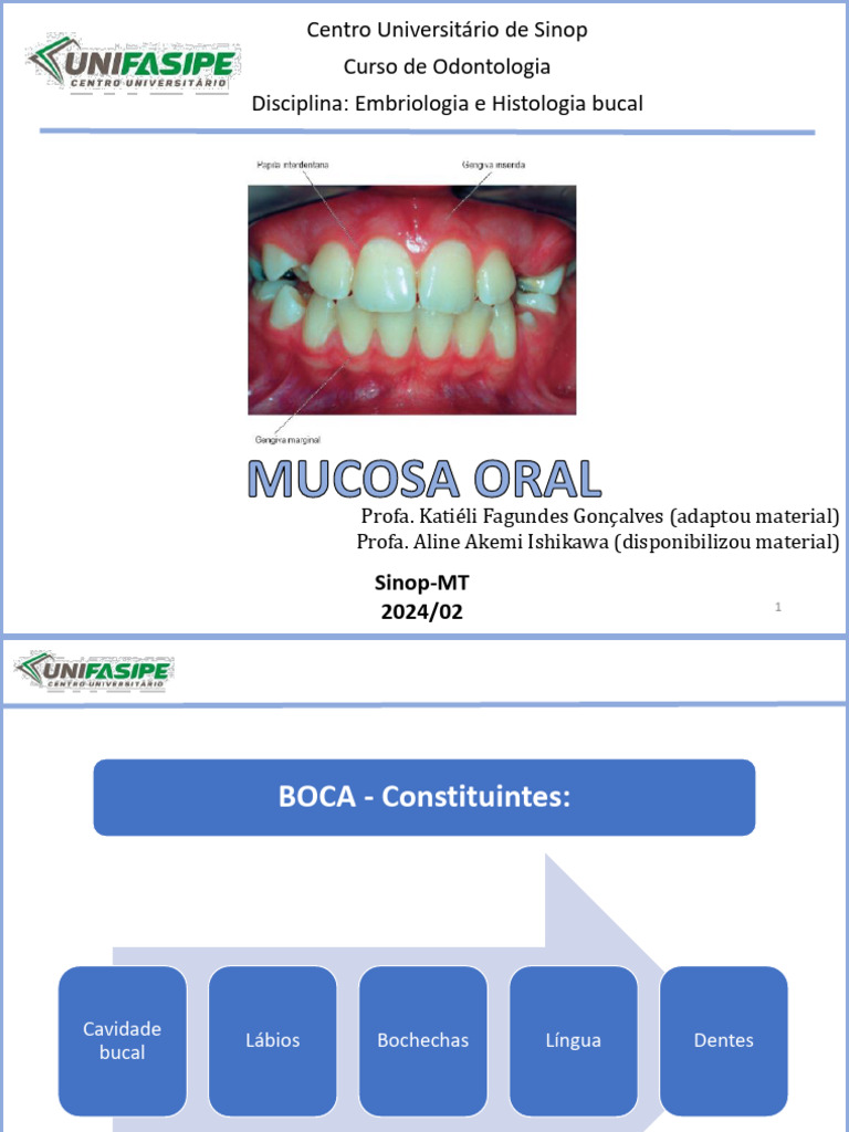 Estrutura e Função da Mucosa Oral | PDF | Boca | Epitélio
