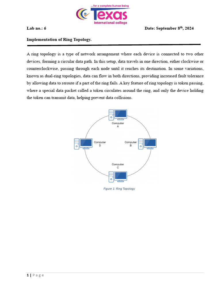 Ring Topology Network Implementation | PDF