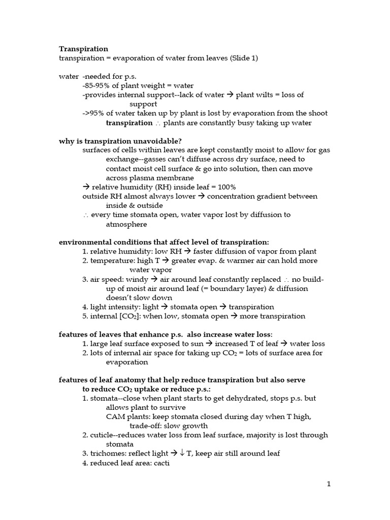 Understanding Plant Transpiration and Water Transport | PDF | Stoma | Leaf