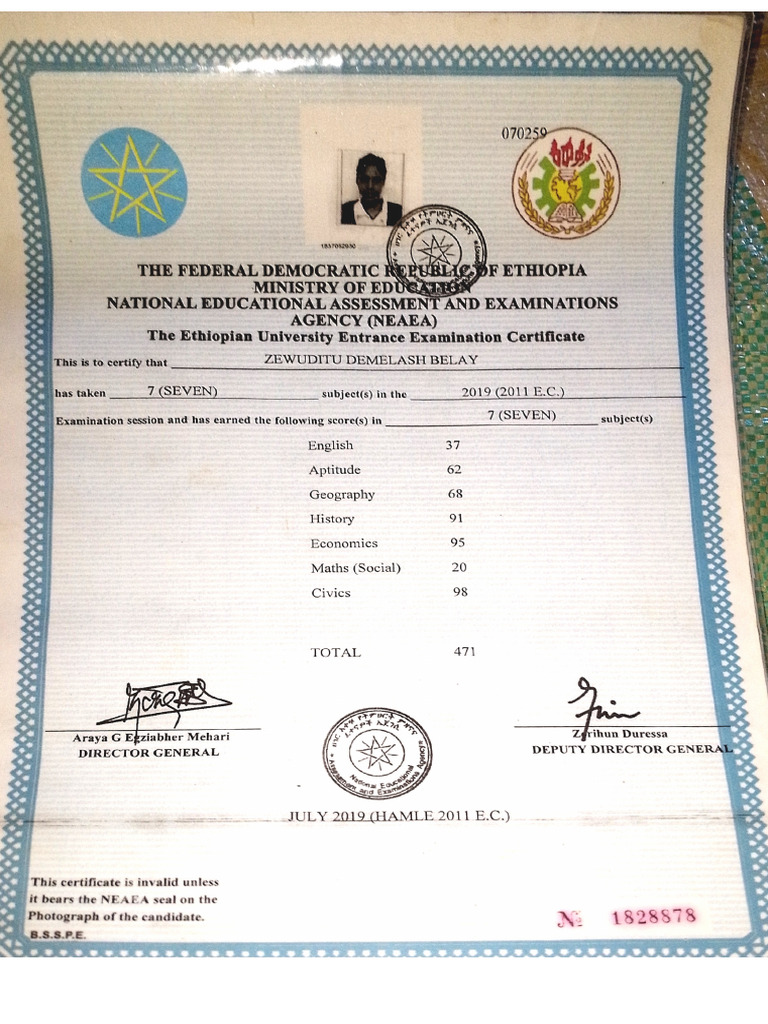 ACE Scanner - 2024 - 11 - 18 | PDF