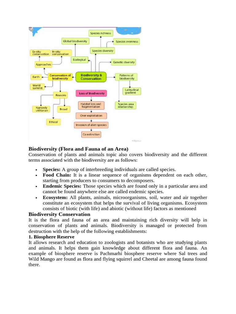 Biodiversity Pdf Endangered Species Biodiversity