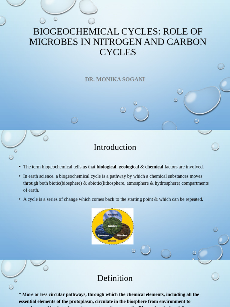 Biogeochemical Cycles | PDF