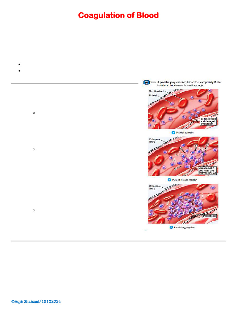 Coagulation of Blood-2 | PDF | Coagulation | Nutrients