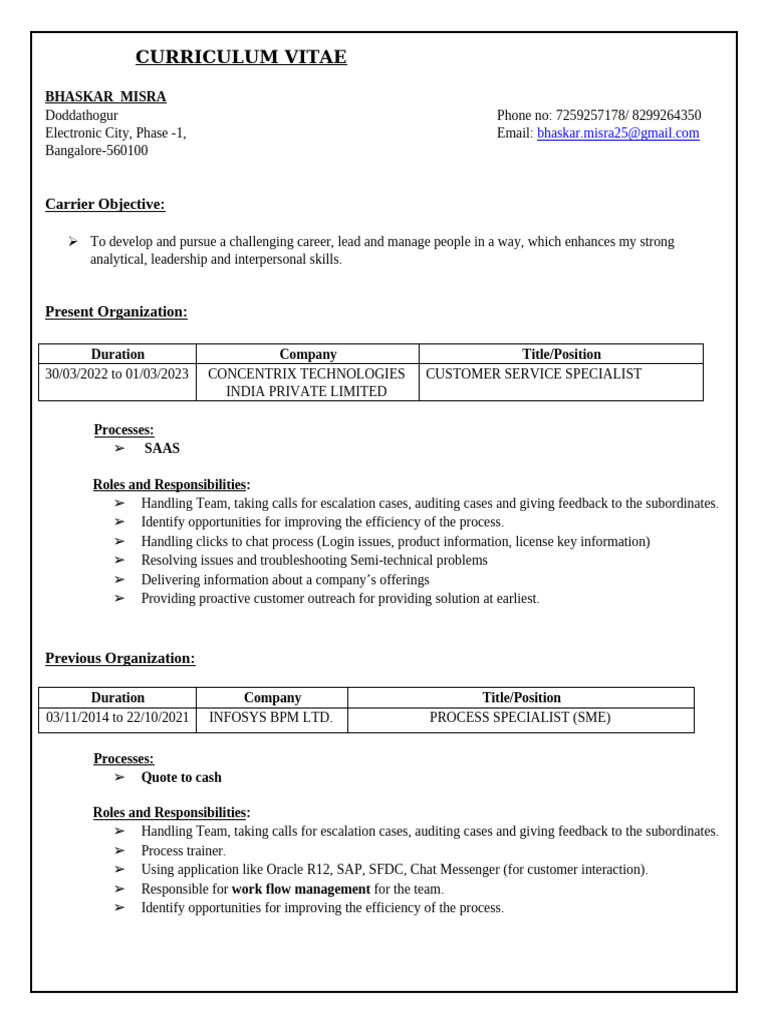 Curriculum Vitae: Carrier Objective | PDF | Business