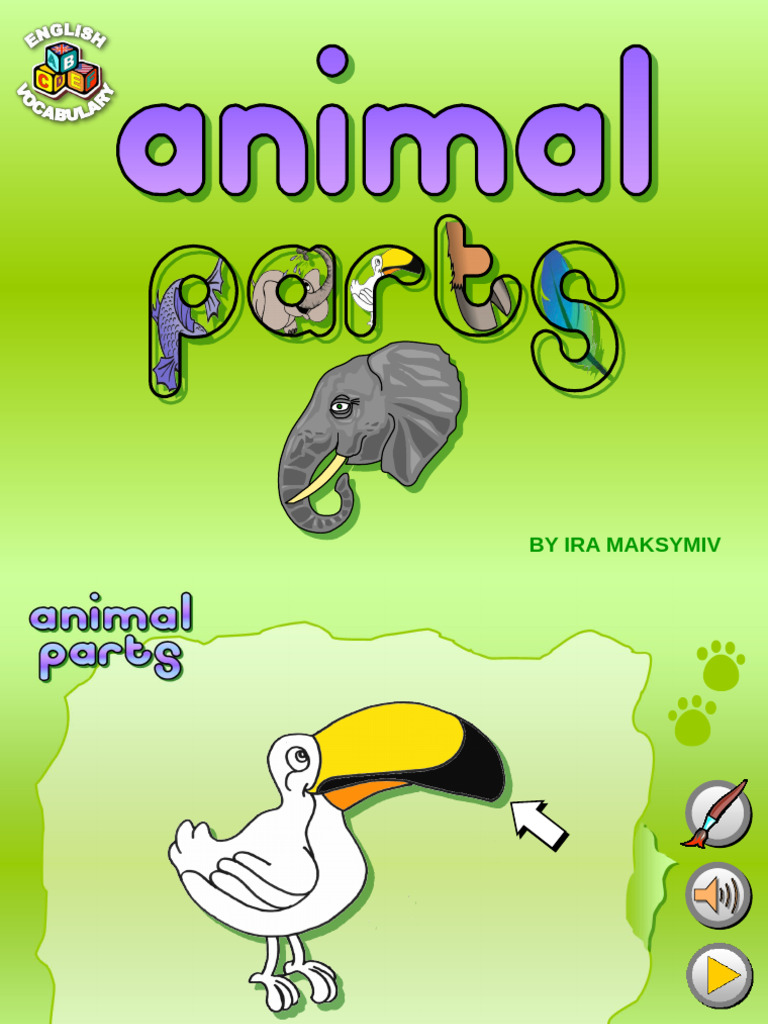 Animal Parts PPT Flashcards Fun Activities Games Picture Descriptio ...