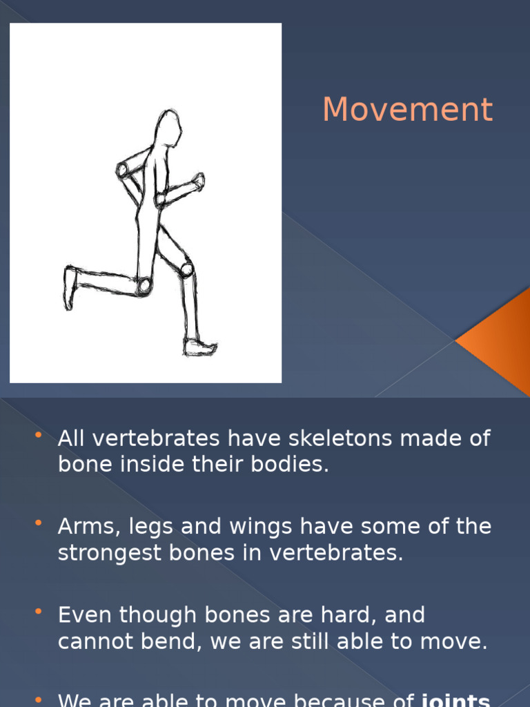 Understanding Movement: Bones, Muscles, Joints | PDF