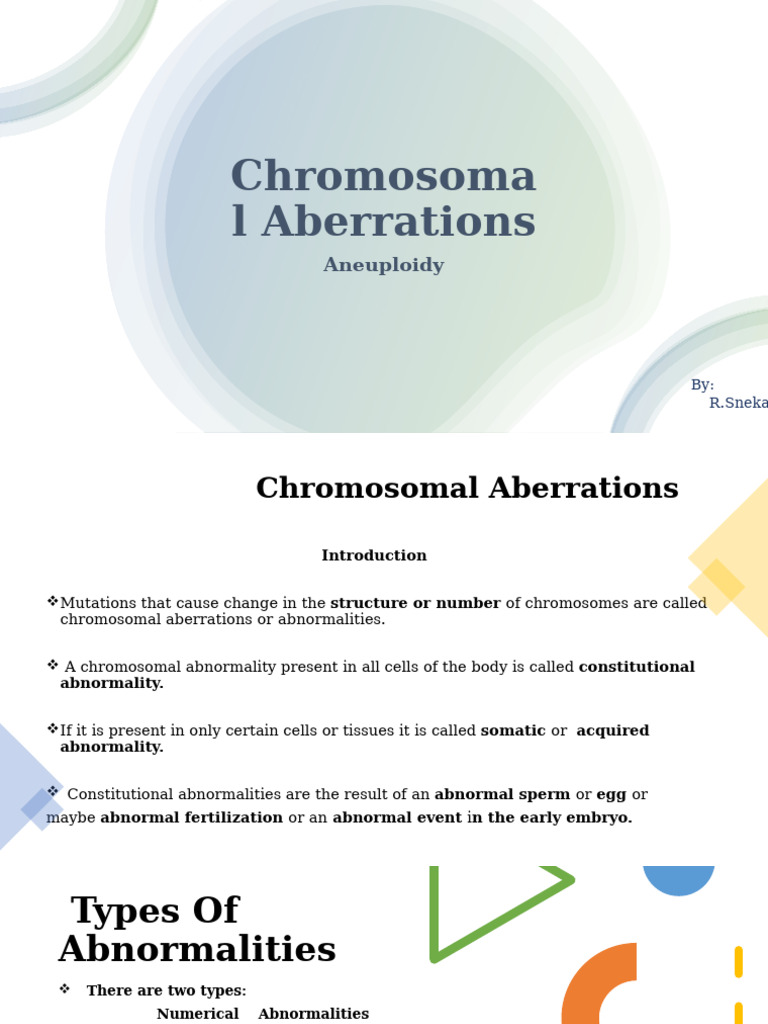 Chromosomal Aberrations (Aneuploidy) 1 | PDF | Chromosome | Down Syndrome