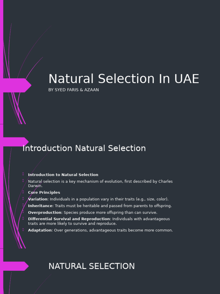 Understanding Natural Selection in UAE | PDF | Natural Selection | Evolution