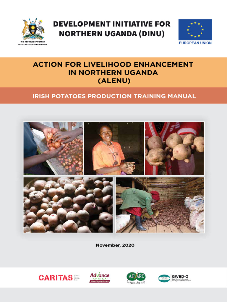 Irish Potato Farming Guide for Uganda | PDF | Potato | Crop Rotation