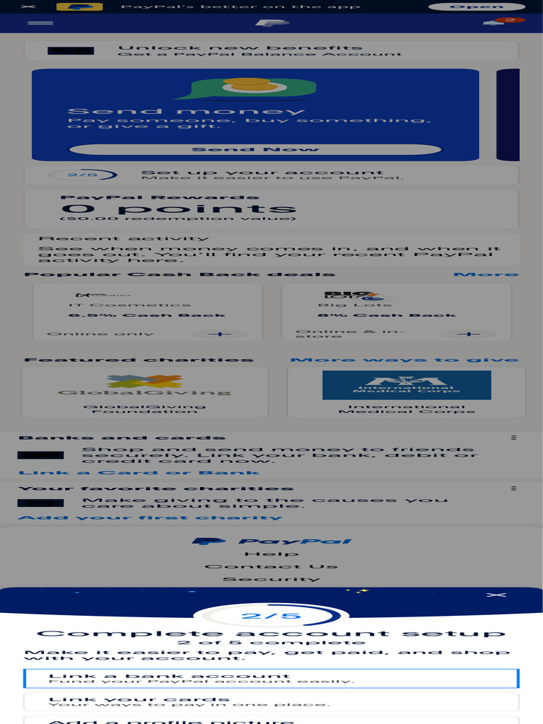 PayPal Summary | PDF