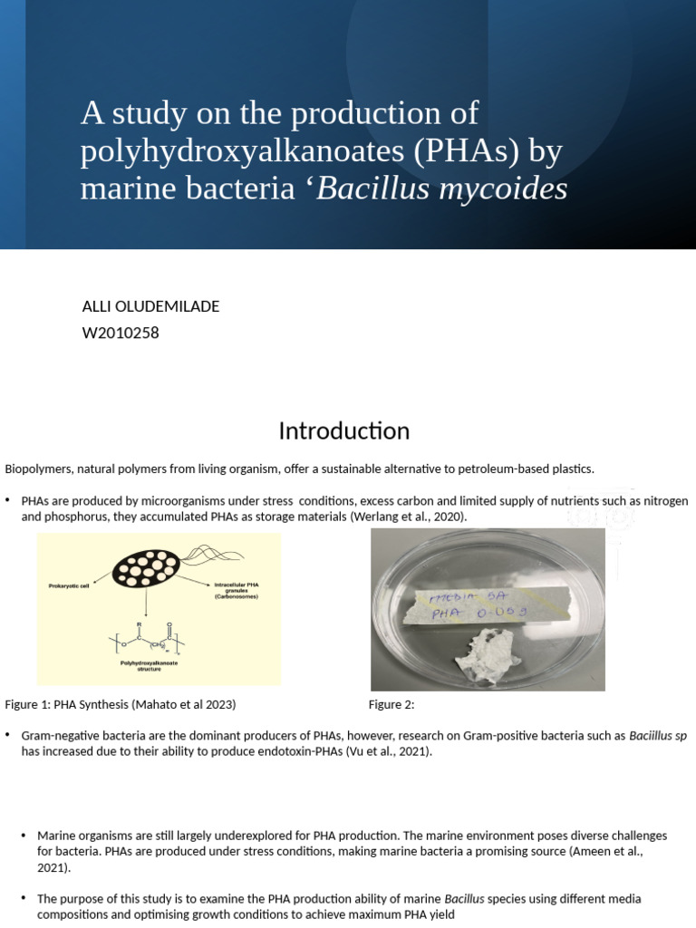 Better PHA Presentation | PDF | Bacteria | Chemical Substances