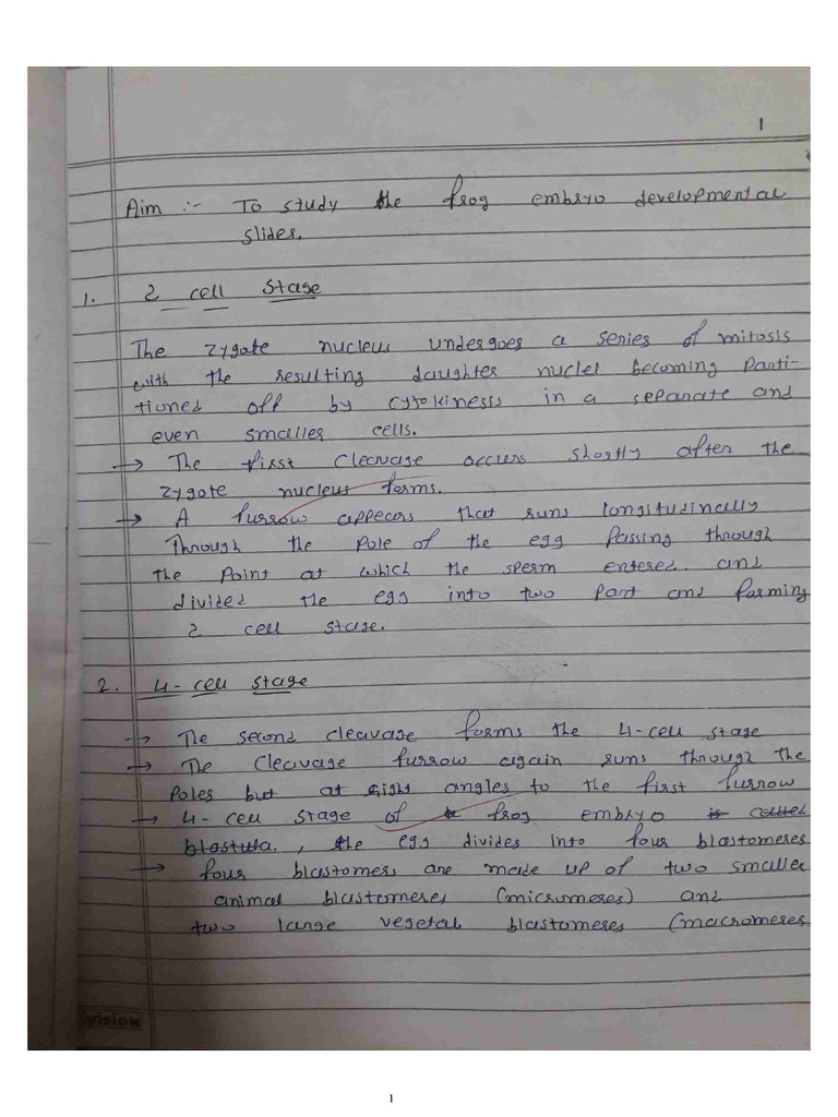 Kaagaz 20241128 212227227599 | PDF