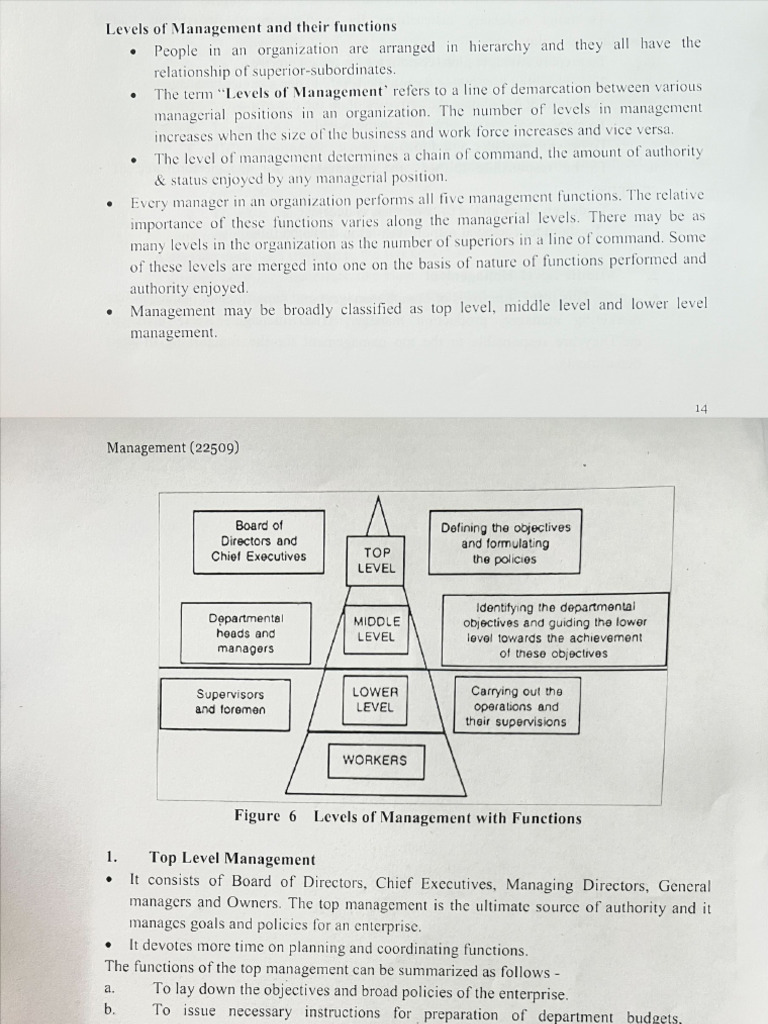 Levels of Management | PDF