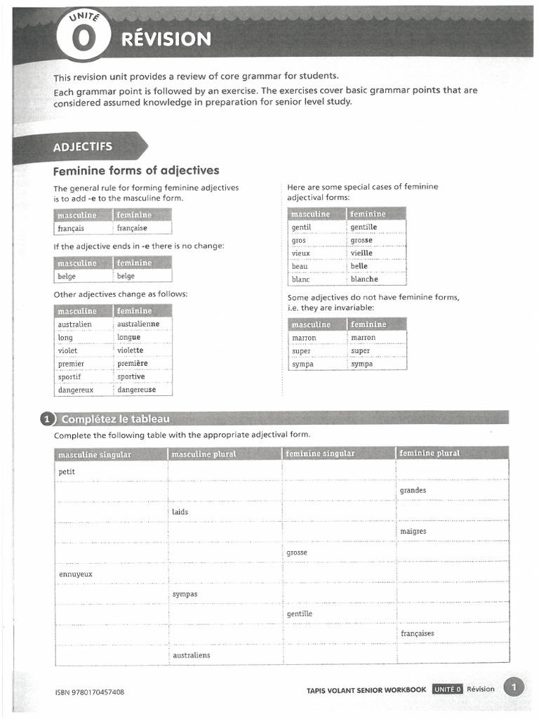 French Grammar Revision Worksheet | PDF