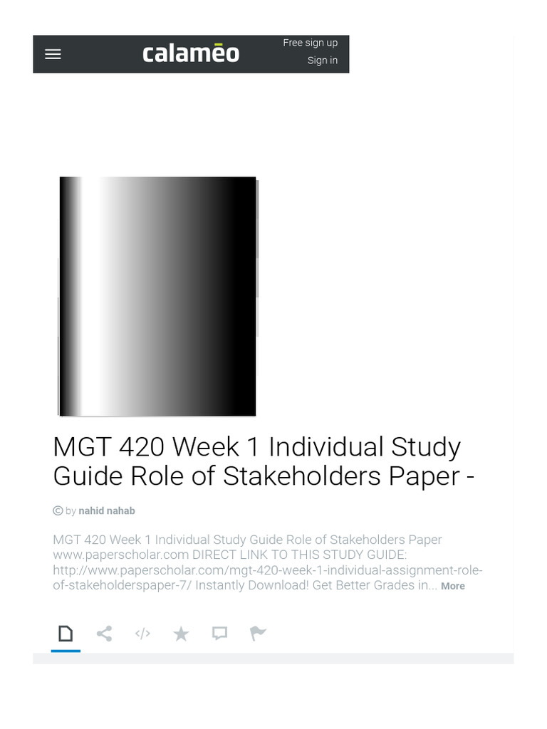 MGT 420 Week 1 Stakeholders Guide | PDF