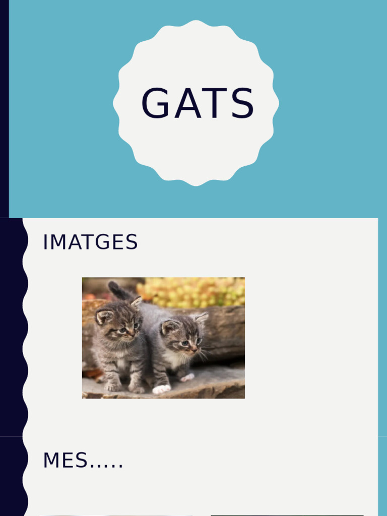 Gats | PDF