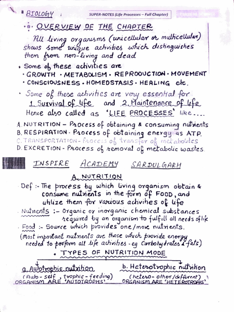 X-Science (Biology) Life-Processes | PDF | Physiology | Biology