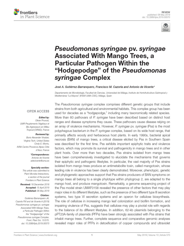 Pseudomonas syringae in Mango Trees | PDF | Pseudomonas | Plasmid