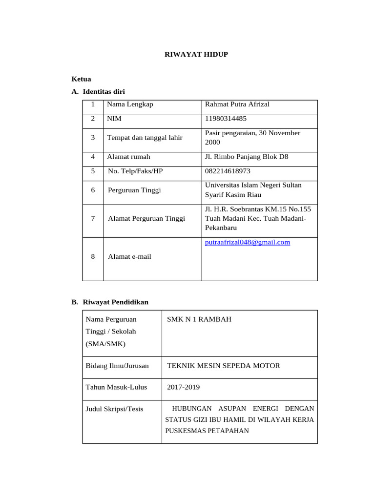 CV MILA SV (1) | PDF
