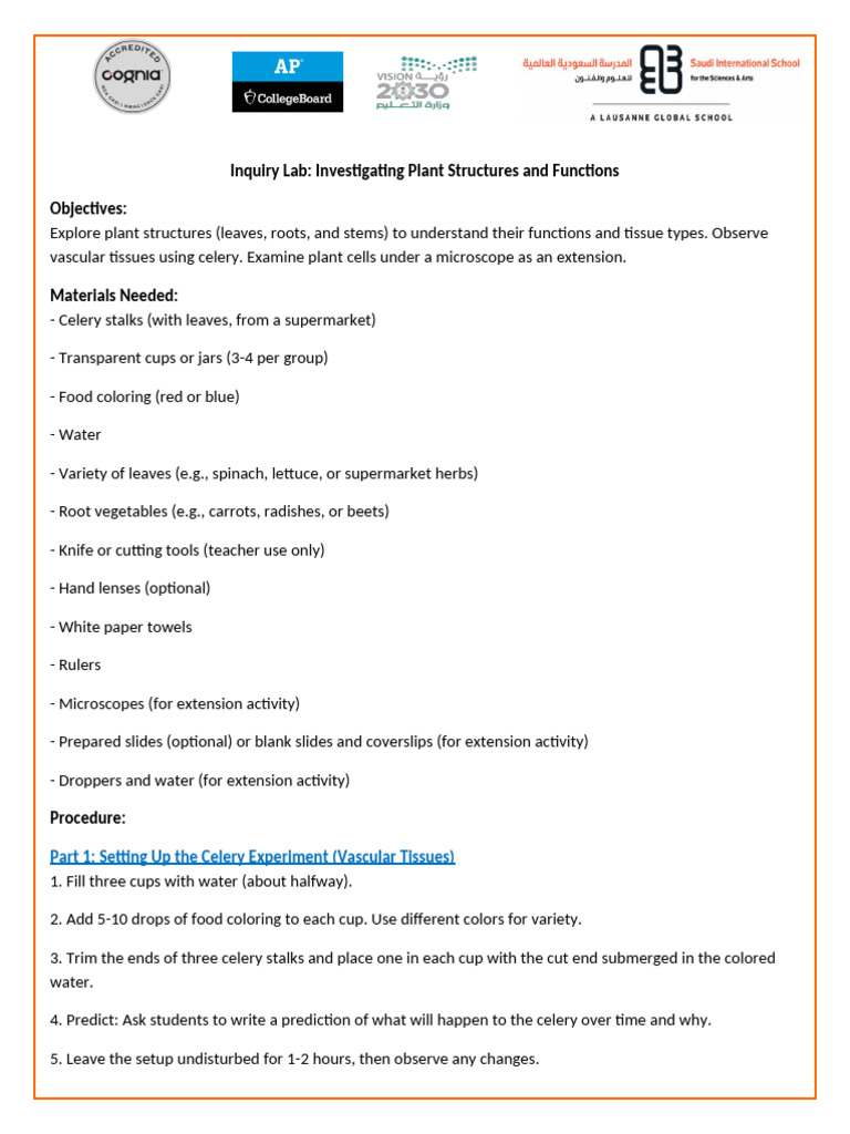 Inquiry Lab Plant Structures | PDF | Plant Stem | Leaf