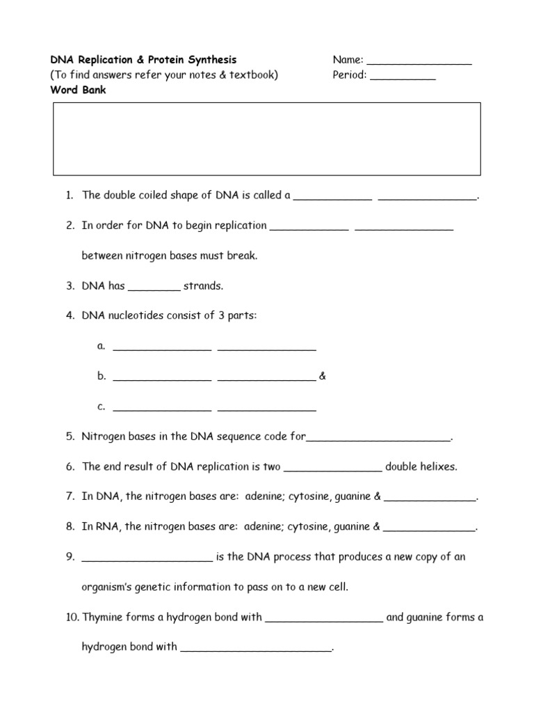 Dna Replication Protein Synthesis Worksheet | PDF | Rna | Nucleotides