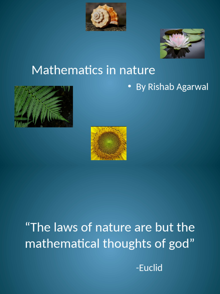 Mathematics in Nature | PDF | Geometry | Fractal