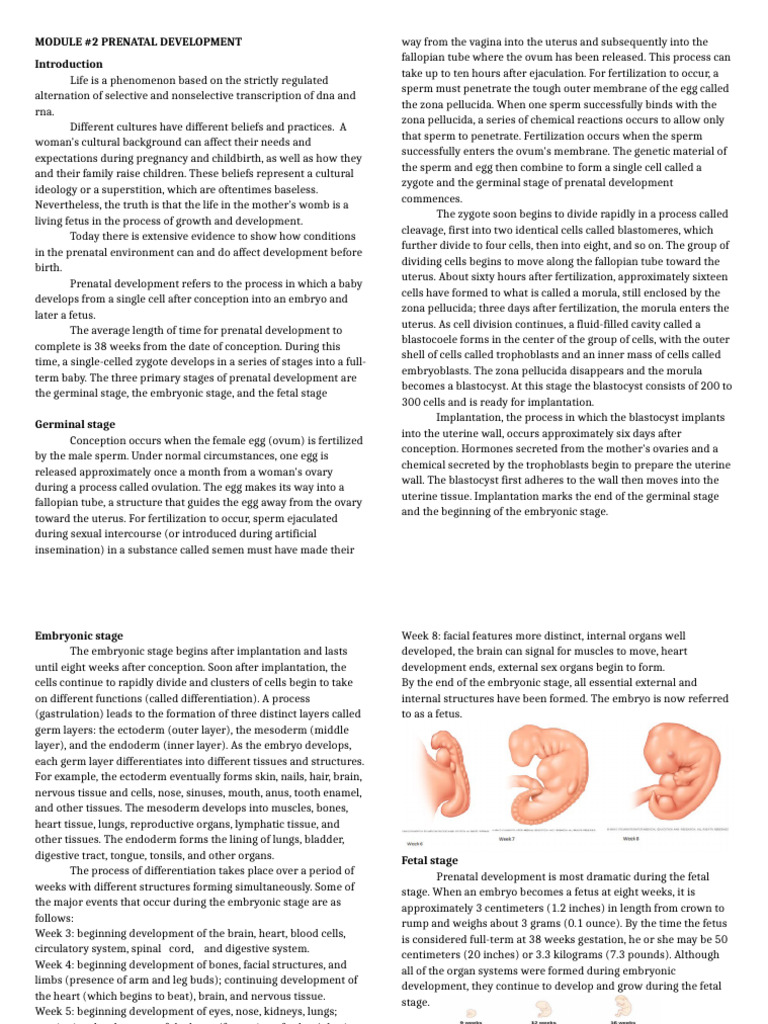 MODULE2_ED1 | PDF | Prenatal Development | Embryo