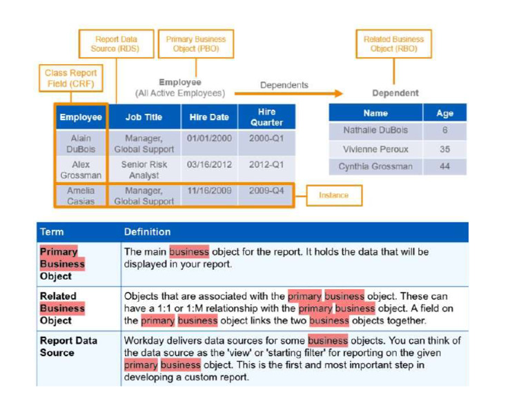 WD Report Terminology | PDF