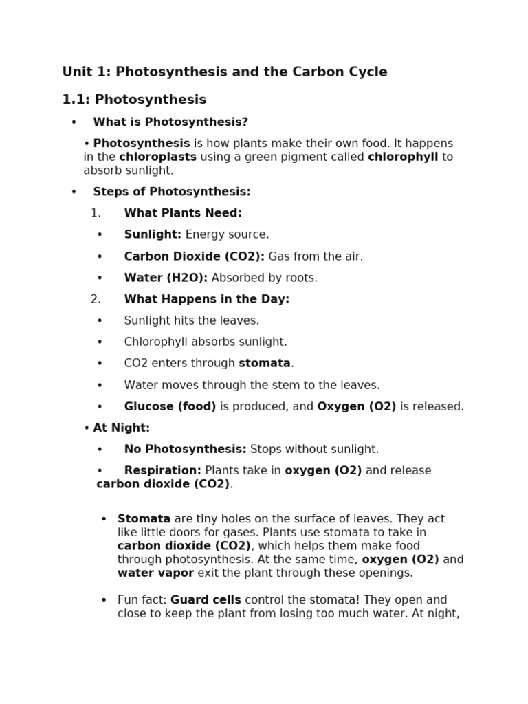 Unit 1 Science | PDF | Photosynthesis | Stoma