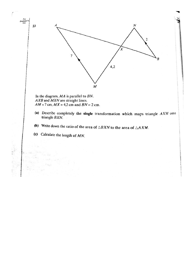 Similarity Questions | PDF
