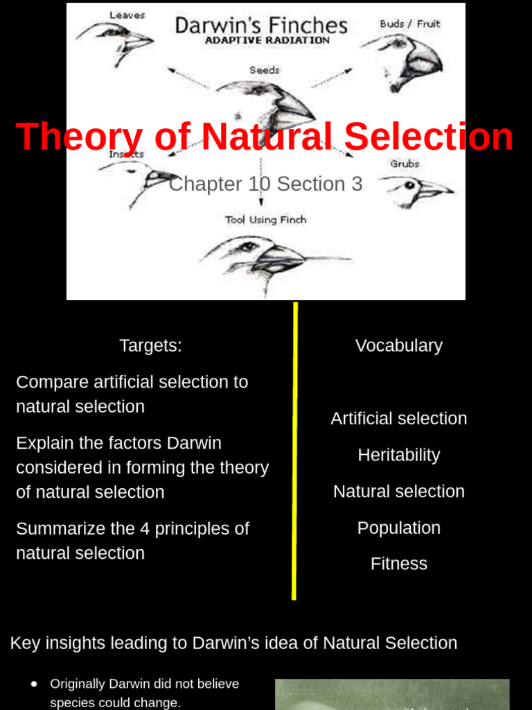 Natural Selection | PDF | Natural Selection | Genetic Diversity
