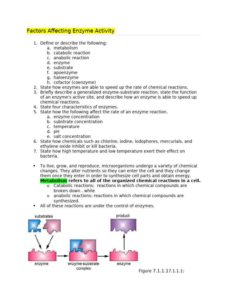 Factors Affecting Enzyme Activity | PDF | Enzyme | Cofactor (Biochemistry)