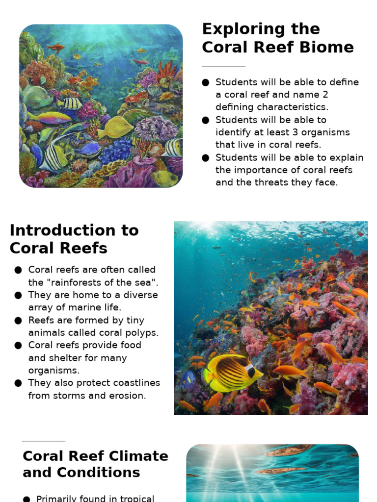 Coral Reef Biome Study Guide | PDF | Coral Reef | Coral