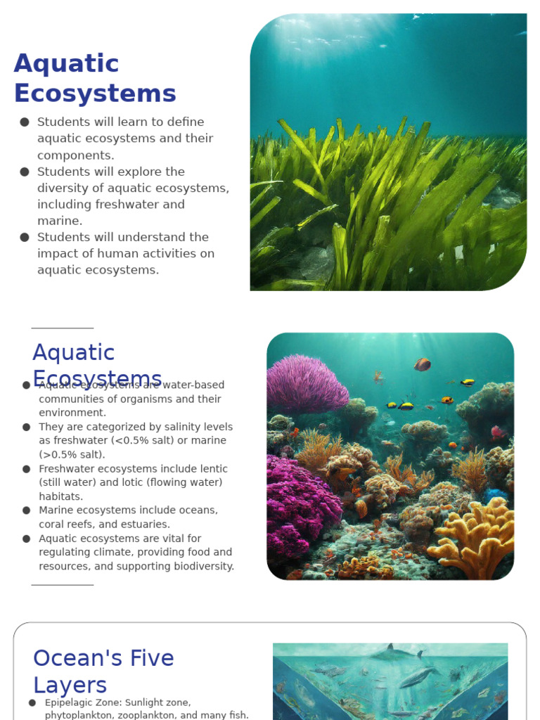 Aquatic Ecosystems | PDF | Wetland | Coral Reef