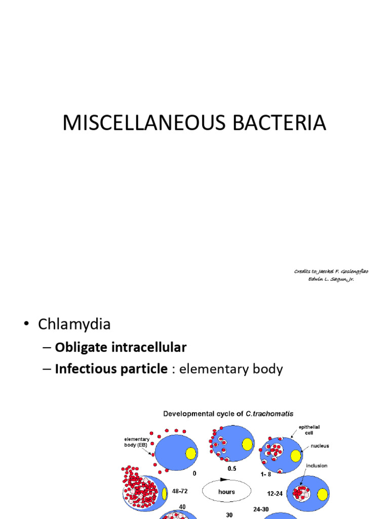 Overview of Miscellaneous Bacteria | PDF | Microbiology | Medical ...