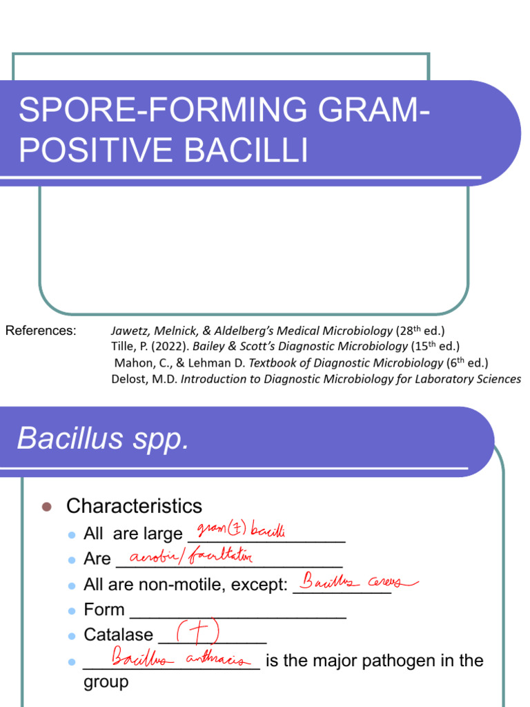 Bacillus spp.: Characteristics and Pathogens | PDF | Anthrax | Bacillus