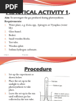 Photosynthesis: Starch Testing Methods | PDF | Photosynthesis | Leaf