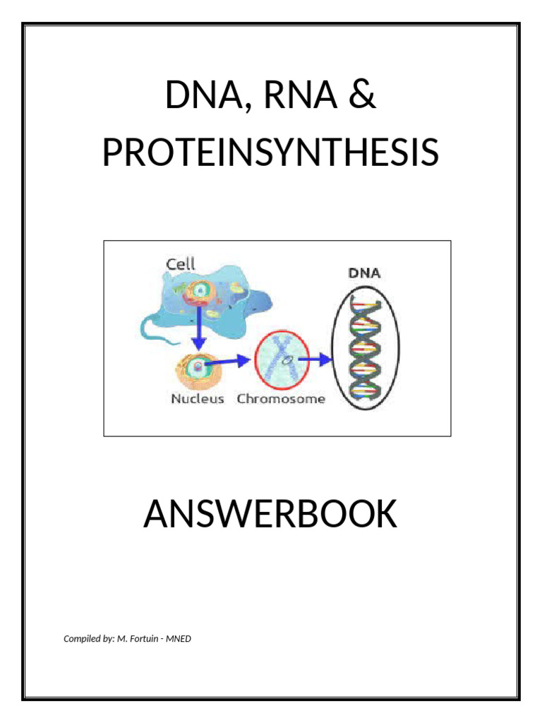 DNA, RNA, and Protein Synthesis Guide | PDF | Translation (Biology) | Rna
